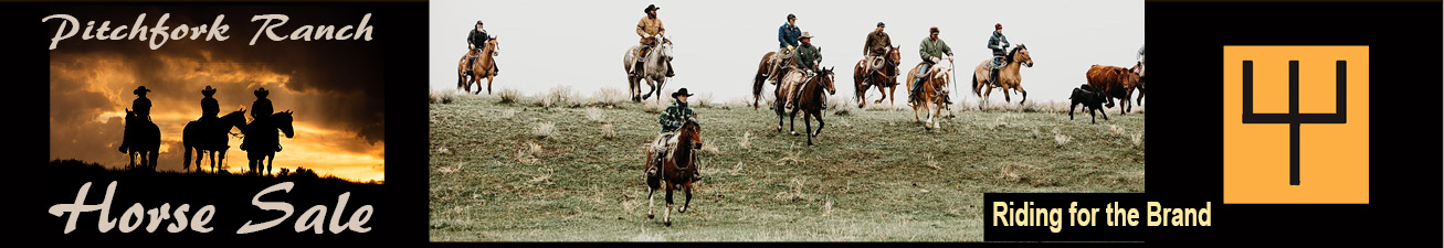 Pitchfork Ranch Horse Sale